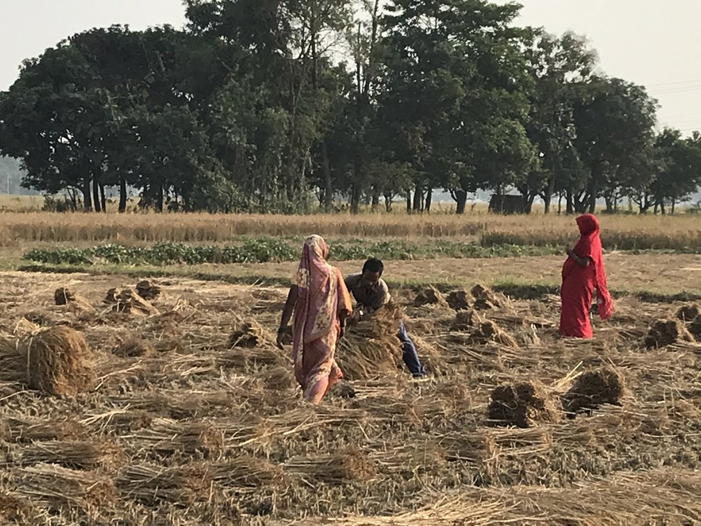 rsz_img_4441 - SIANI