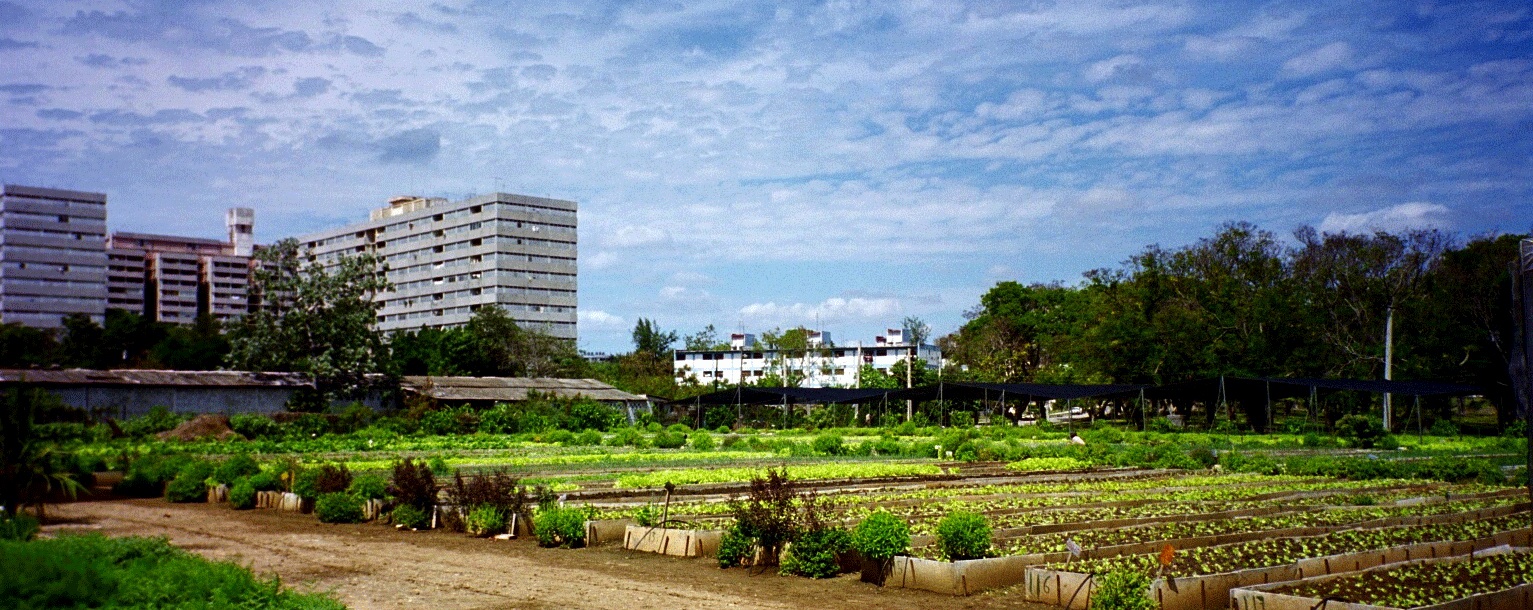 Kickstarta karriären med Sveriges Junior Professional Officer Program ...