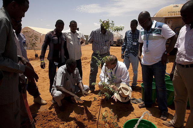 World Day for Combating Desertification and Drought - 17th June - SIANI