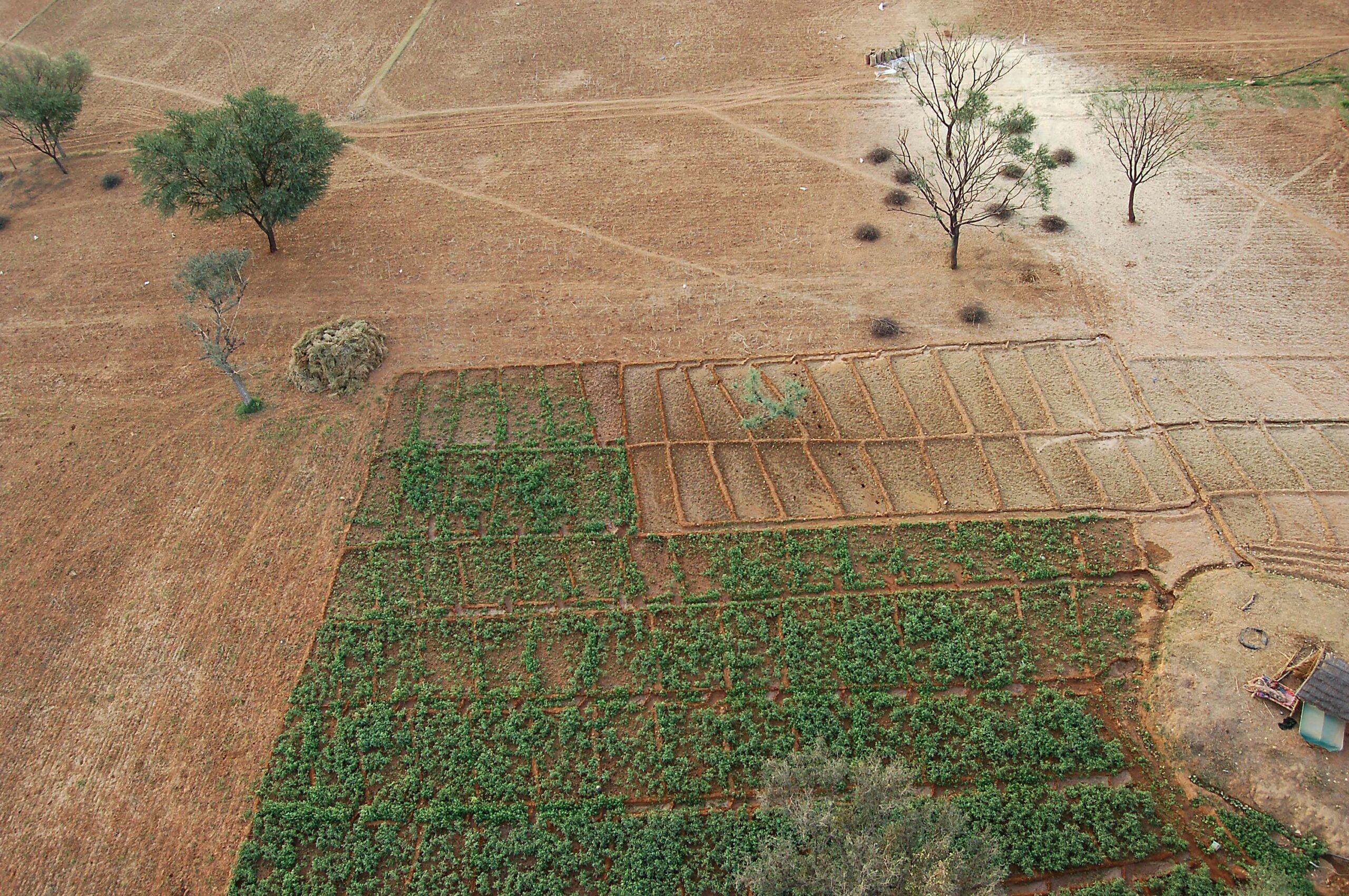 Introducing: Expert Group on Agriculture Transformation in Low-Income ...