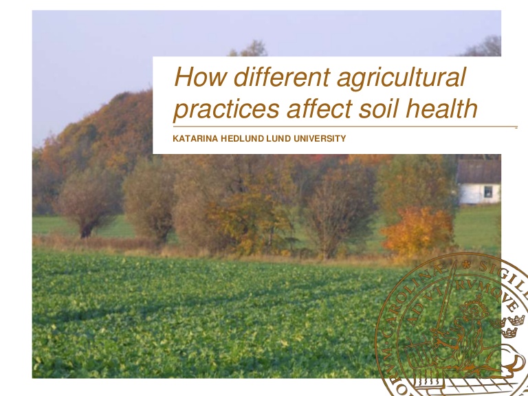 Saving our Soils How different agricultural practices affect soil ...