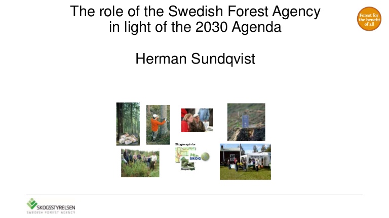 Herman Sundqvist, Swedish Forest Agency: The role of the Swedish Forest ...