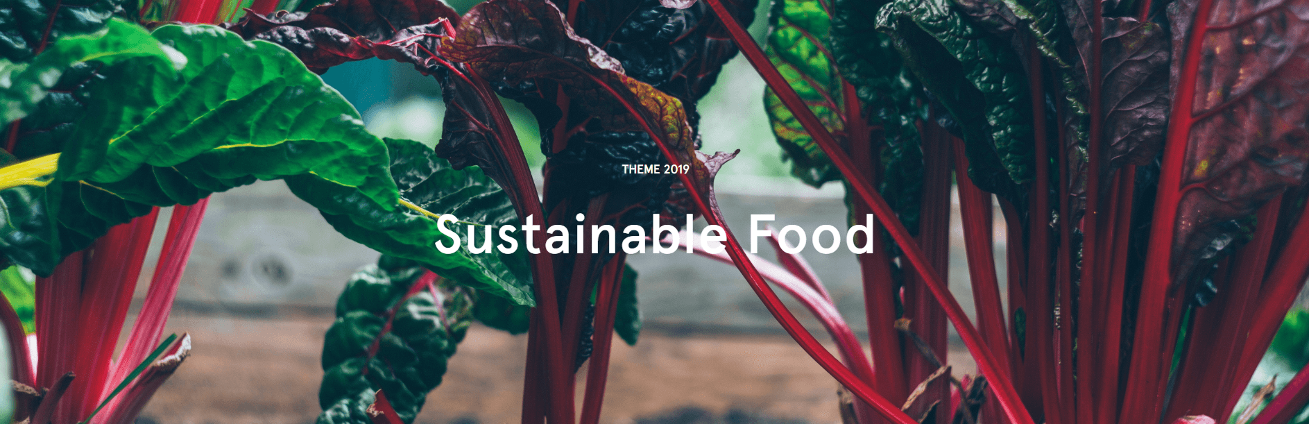 WIN WIN Gothenburg Sustainability Award Celebration - SIANI