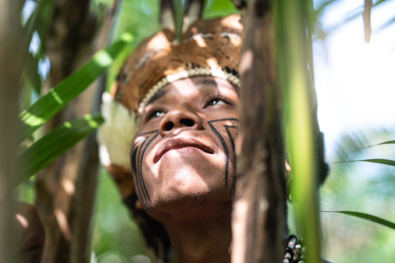 Why indigenous hunting is essential to forest sustainability | SIANI