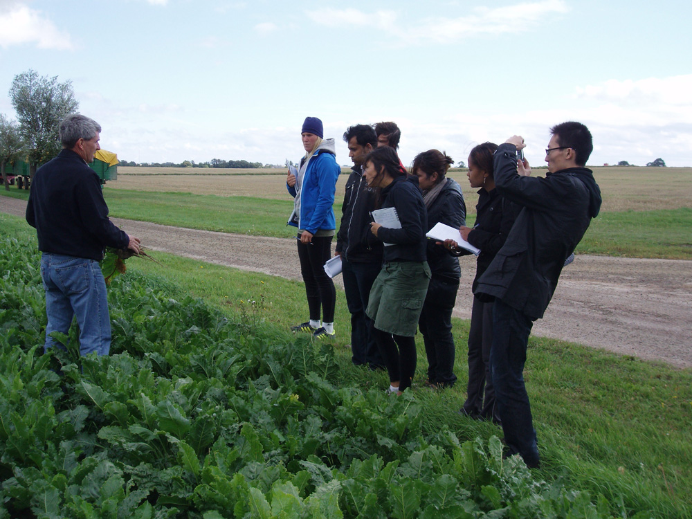 Sustainble food system needs agroecology education