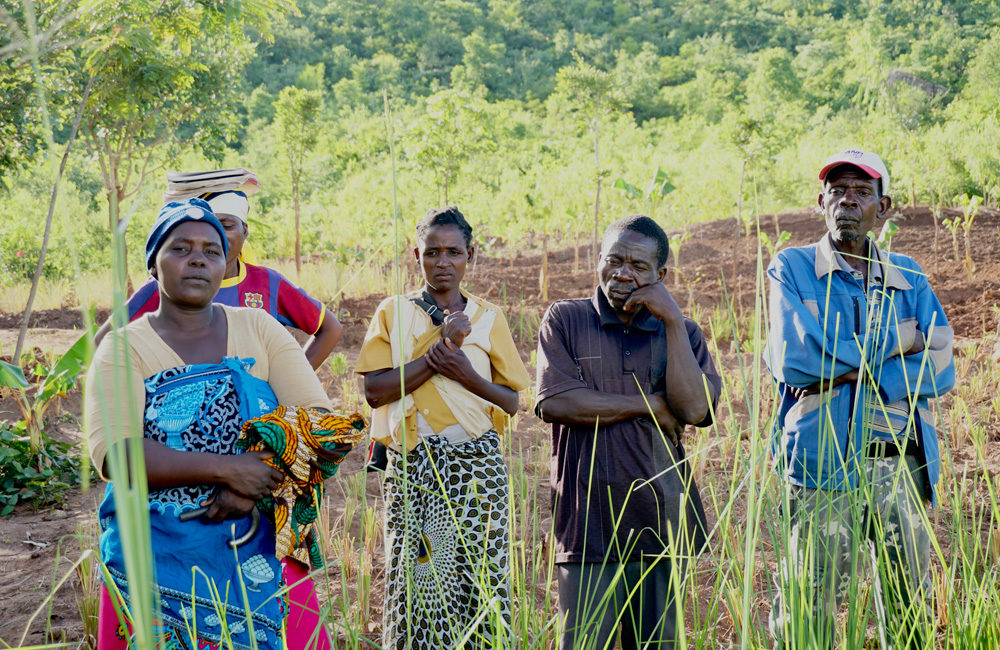 Why sustainable agricultural development starts with gender equality