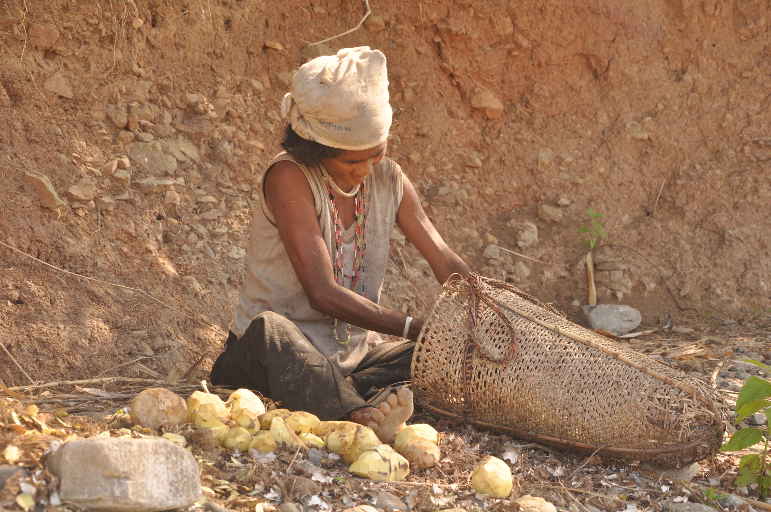 Iraya Mangyan drying nami, a type of yam. Photo by Abe Padilla ...