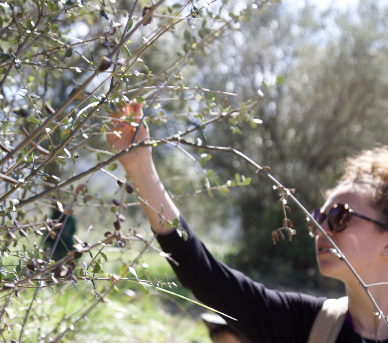 Startupping traditional agrifood knowledge amid biodiversity loss - SIANI