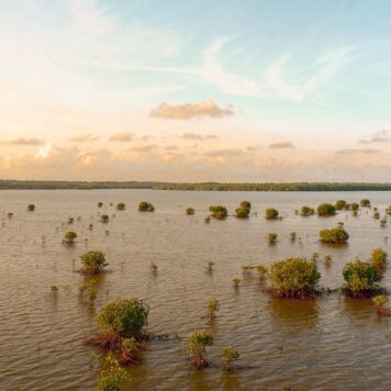 Call for contributions for the Political Ecology Conference 2026 in ...