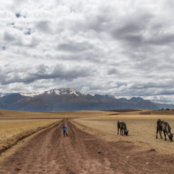 Indicators for Sustainable Bioeconomy - SIANI