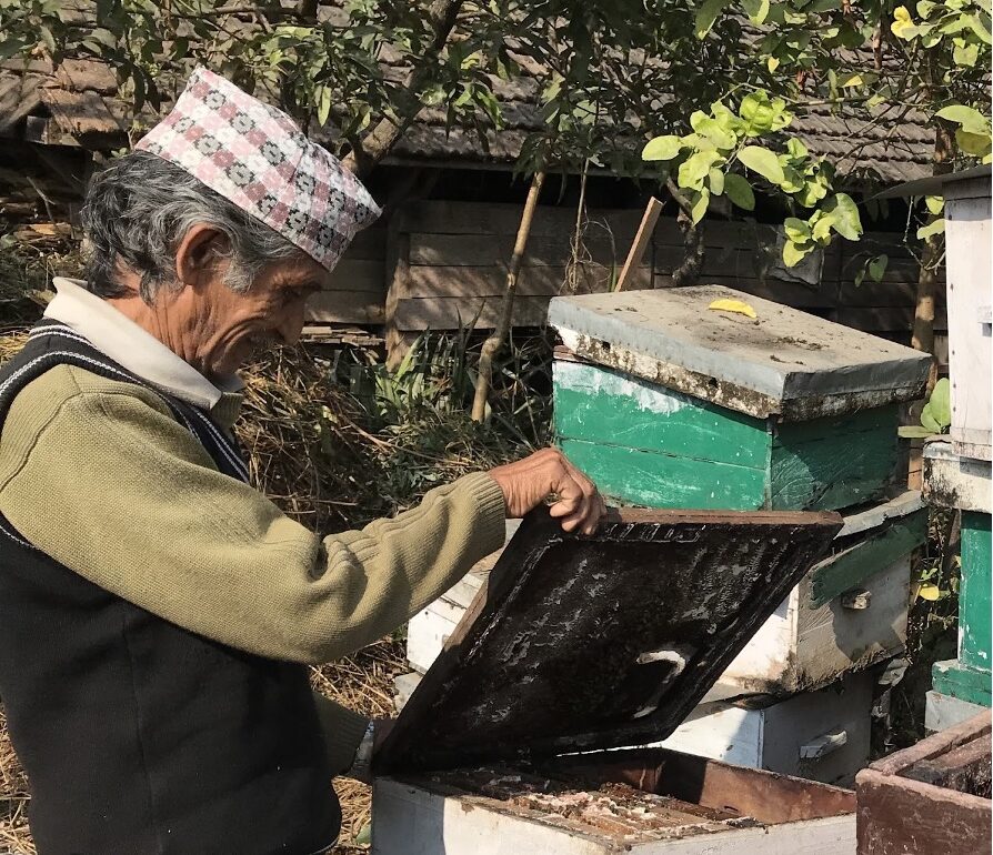 Meet SIANI’s expert groups - SIANI