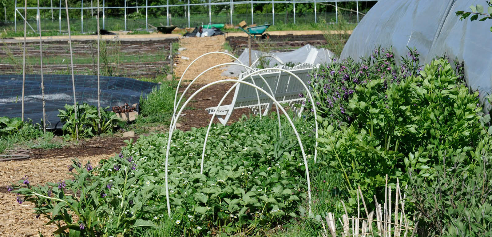 A living laboratory for agroecology and social change - SIANI