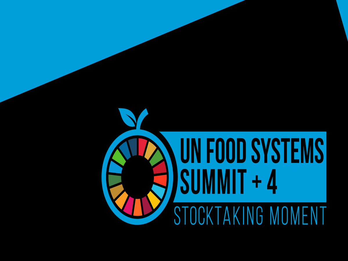 SIANI at the 2nd UN Food Systems Summit Stocktaking Moment (UNFSS+4 ...