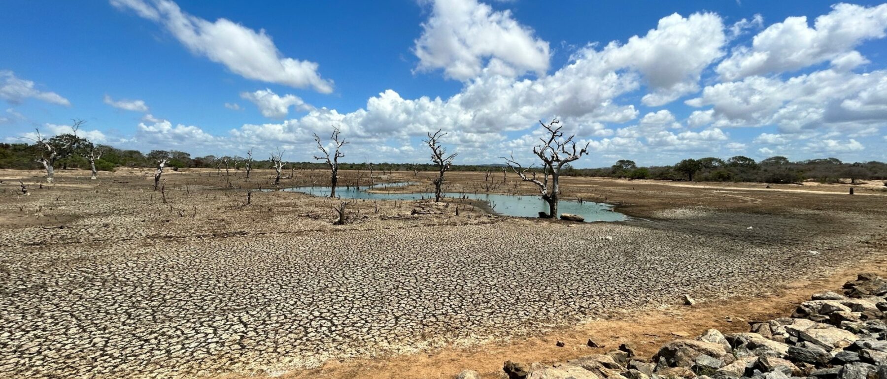 Combatting global water scarcity: water governance, international ...