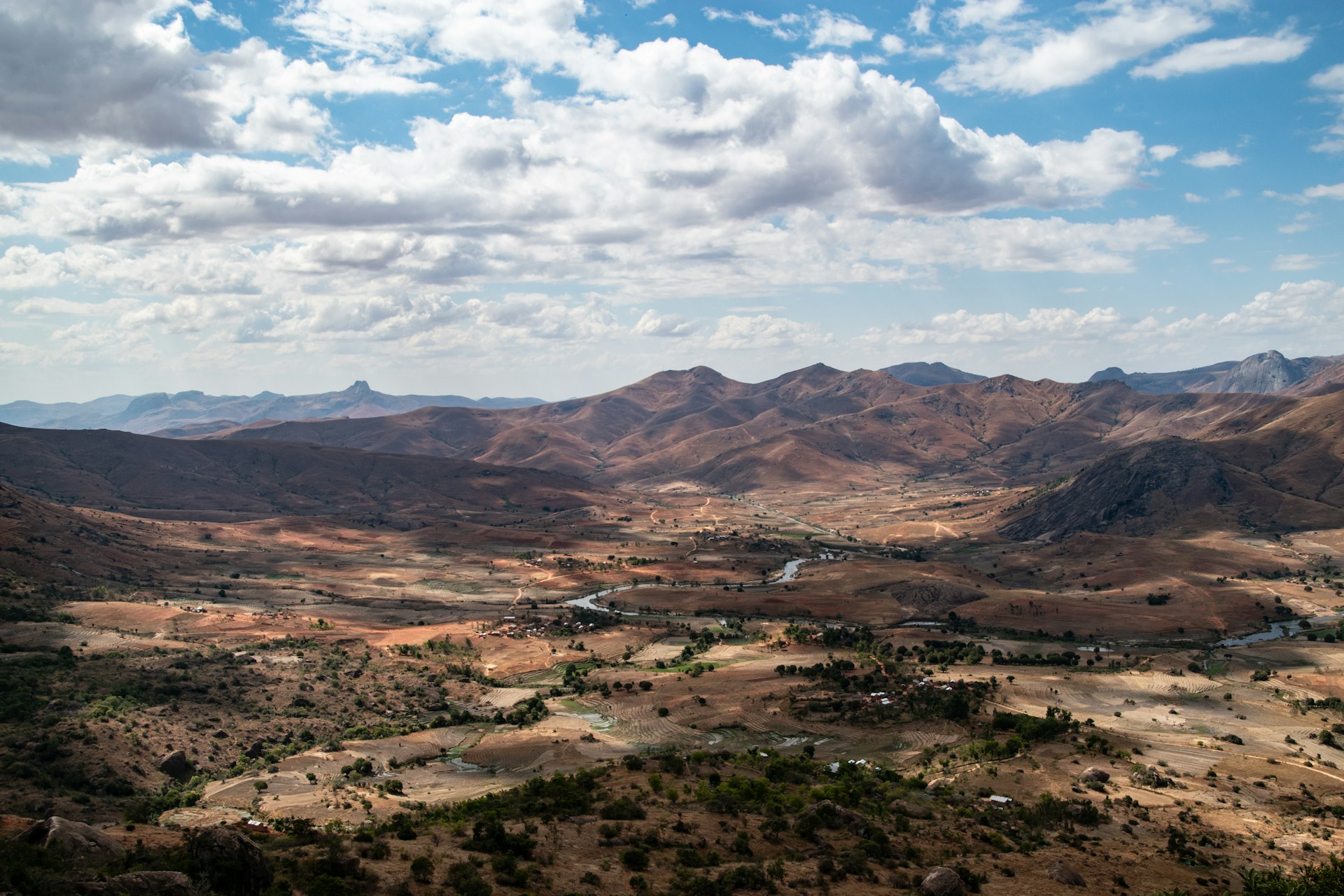 Black soldier flies can help fight hunger in Madagascar - SIANI