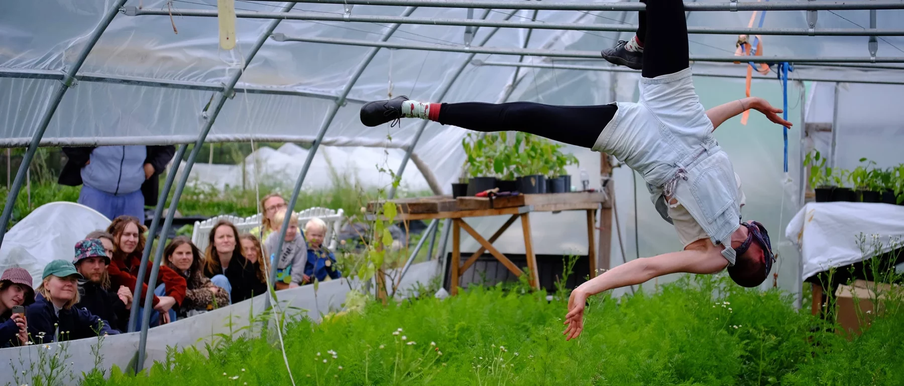 Growing differently: where degrowth and agroecology converge - SIANI